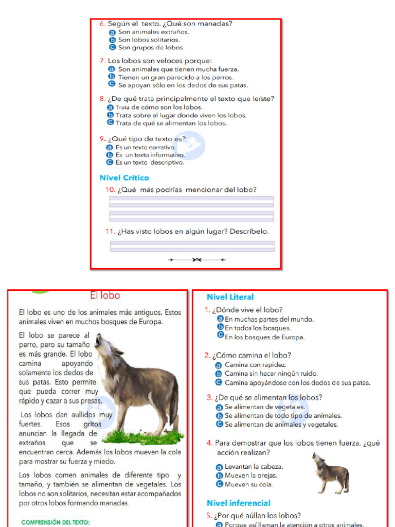 Cuento El Lobo | PDF