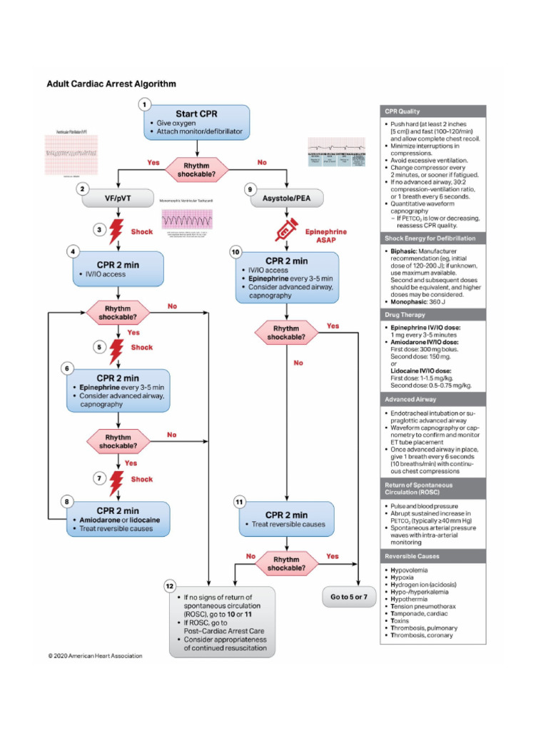 Algoritma Acls | PDF