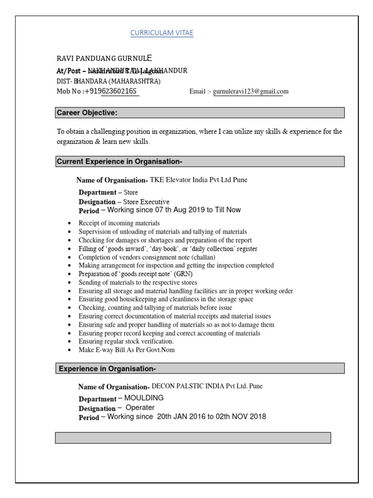 RAVI Resume | PDF