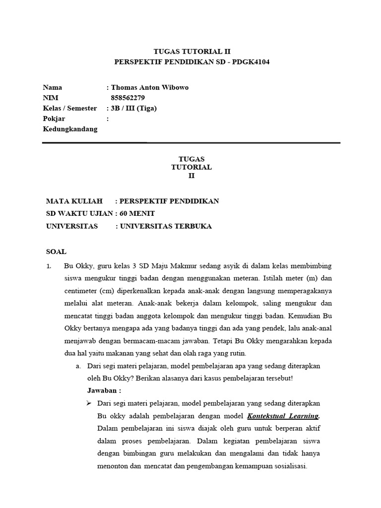 TT2 Perspektif Pendidikan SD | PDF