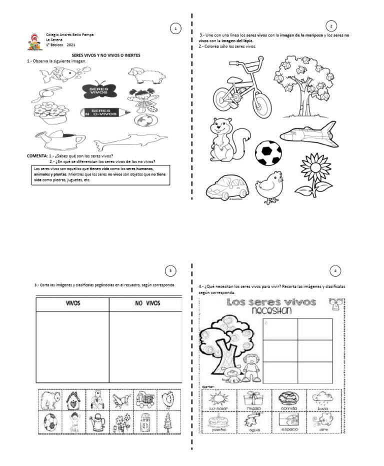 GUÍAS SERES VIVOS Y NO VIVOS Cuaderno | PDF