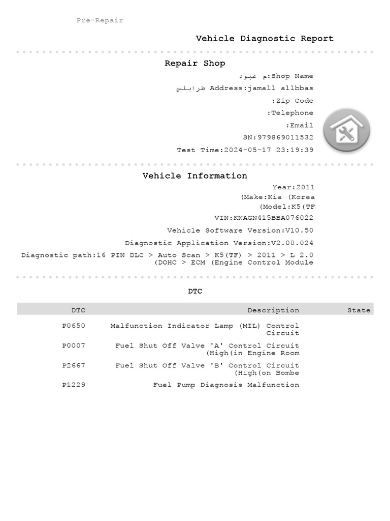 Kia (Korea) KNAGN415BBA076022 DTC 20240517231939 | PDF