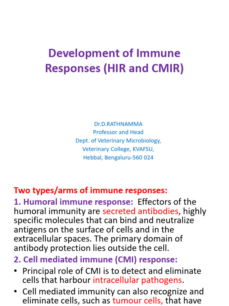 CMIR and HIR: Immune Response Overview | PDF | Cytotoxic T Cell | Antibody