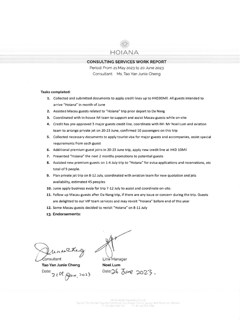 Consulting Services Work Report | PDF
