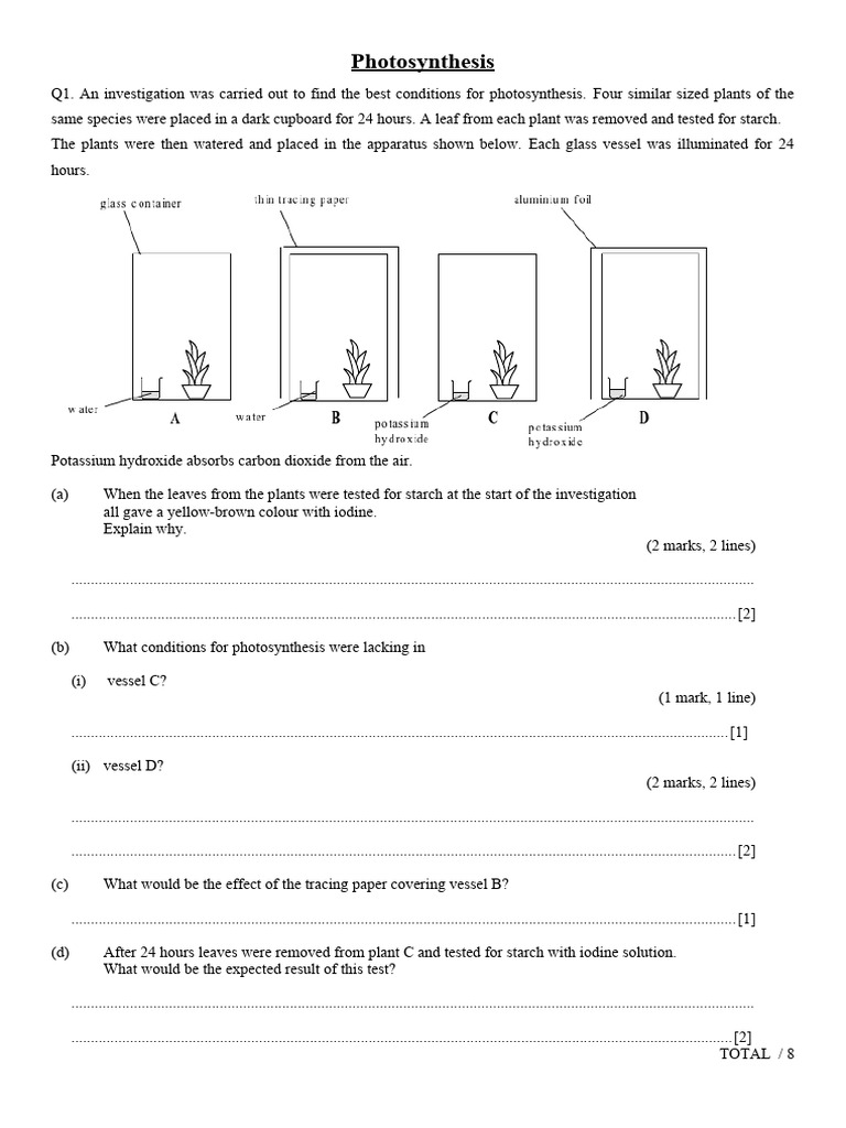 Grade 8 Test Phhotosynthesis | Download Free PDF | Photosynthesis | Biology