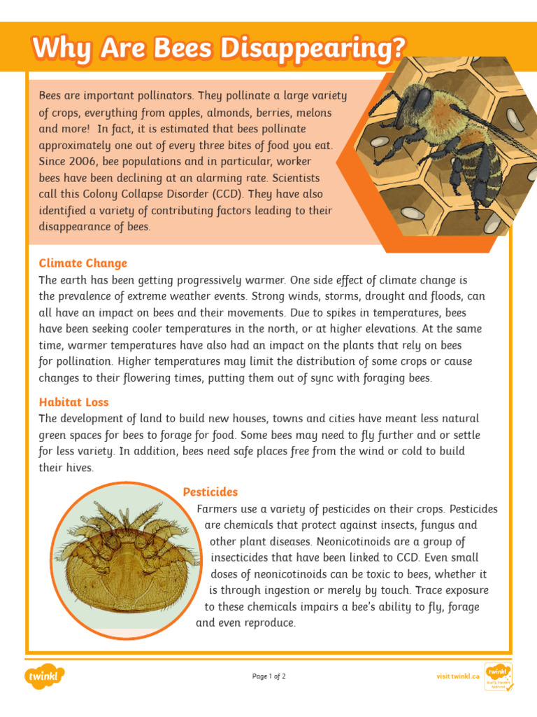 Disappearing Bees | PDF | Bees | Pollination