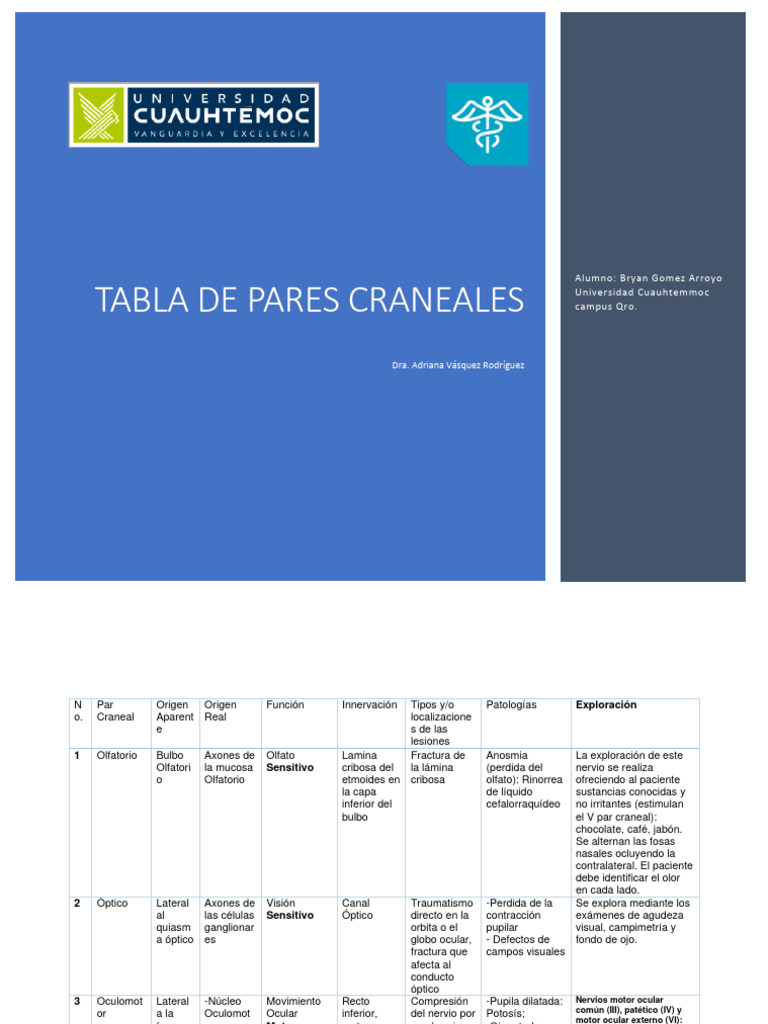 Cuadro Comparativo de Pares Craneales | PDF | Sistema nervioso | Cabeza y cuello humanos