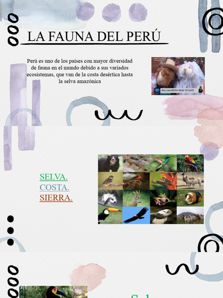 Fauna Del Perú | PDF | Zoología
