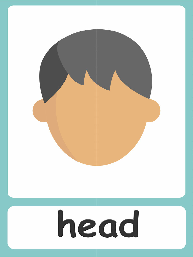 BODY-PARTS-flashcards-pages-deleted | PDF