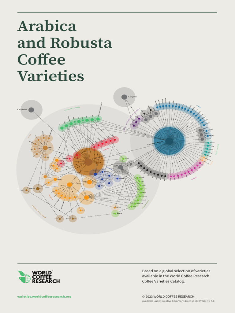 Coffee Varieties Poster 27x40 | PDF | Coffee | Drink