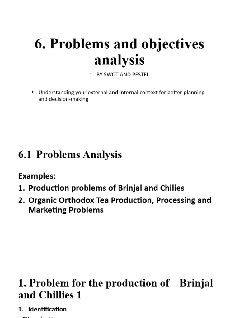 6.1 PPT_Problems and Objectives Analysis | PDF | Swot Analysis | Risk