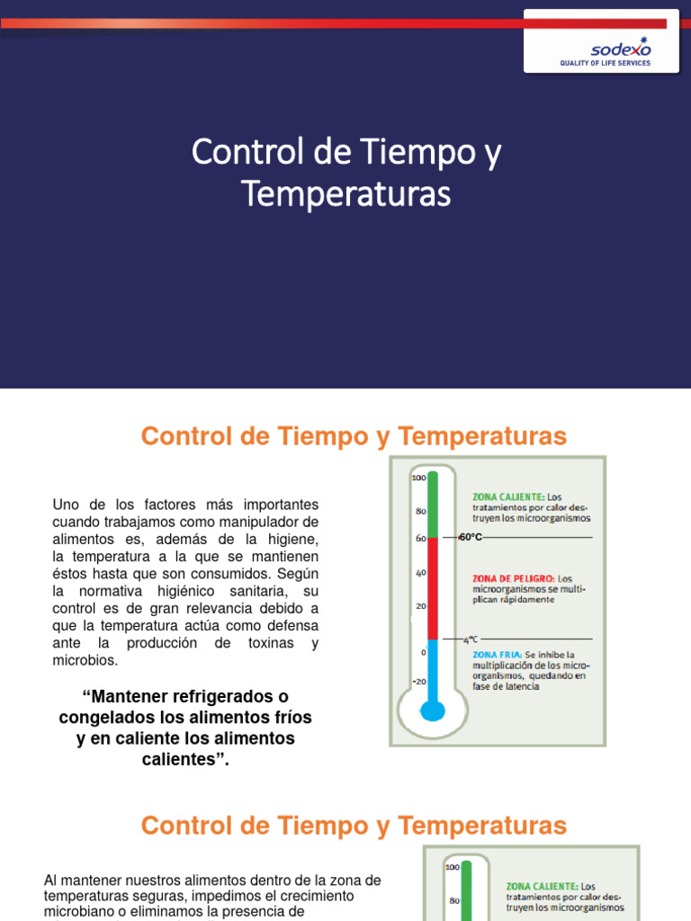 Control de Tiempo y Temperatura | PDF | Carne | Alimentos