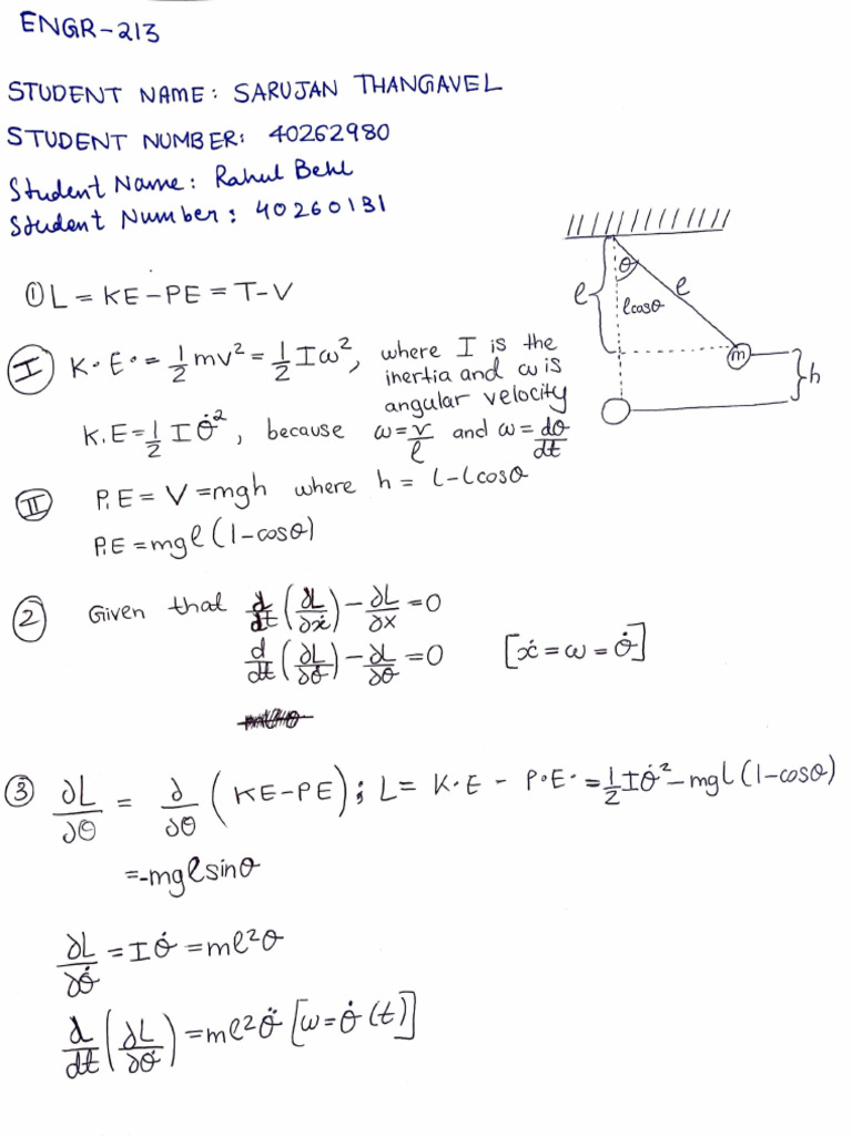ENGR-213 Project 1 Solution | PDF | Teaching Methods & Materials | Science & Mathematics