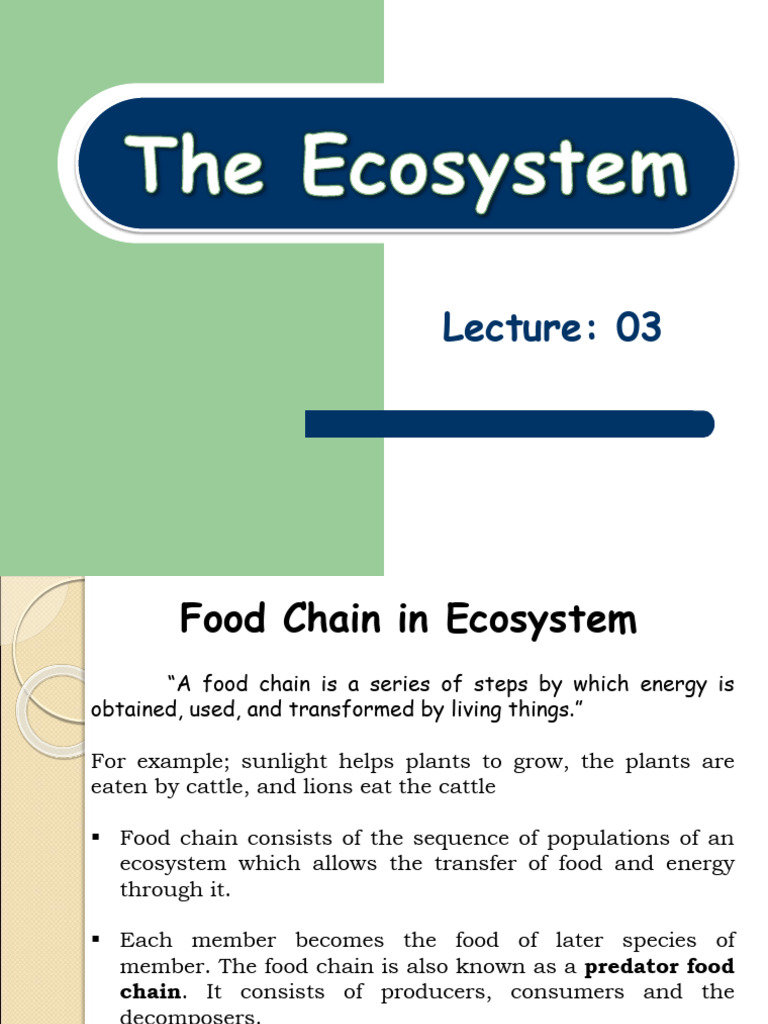 Lecture-03(Ecosystem) | PDF | Aquatic Ecosystem | Food Web