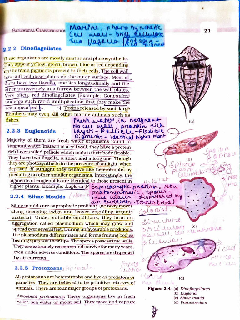 Adobe Scan 24-May-2024 | PDF | Biology | Organisms