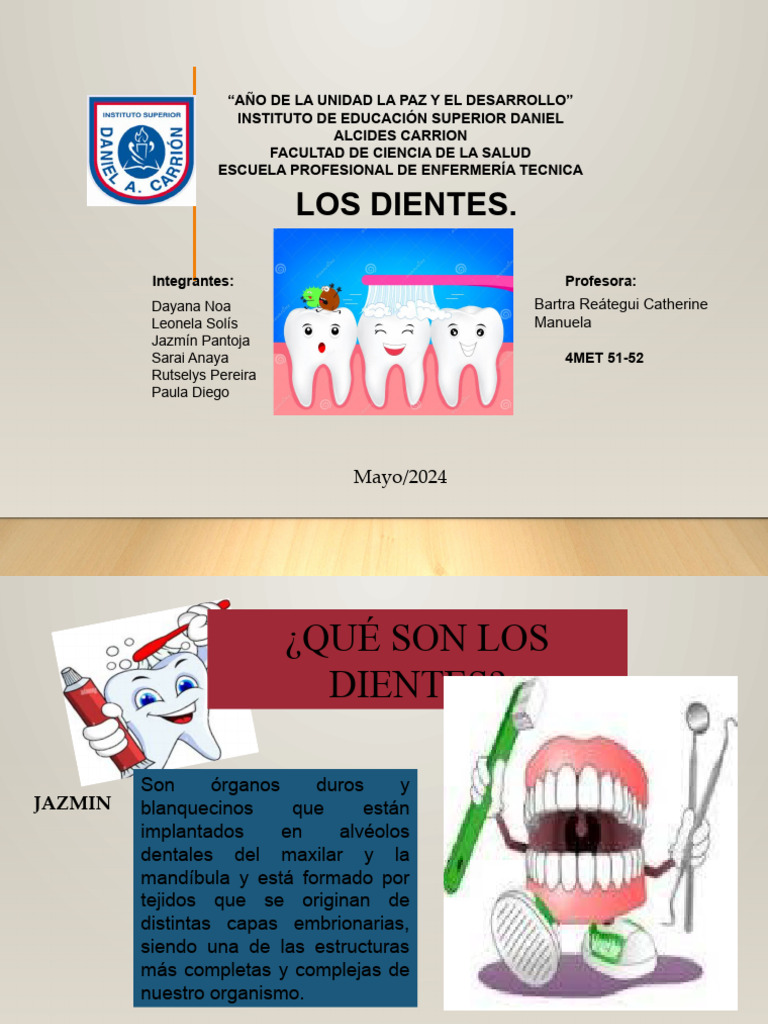 Los Dientes. | PDF | Diente | Odontología
