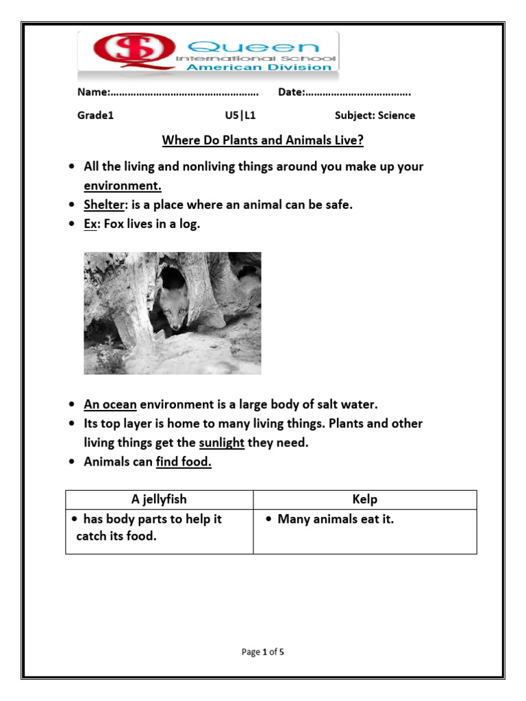 Environments of Plants and Animals | PDF | Rainforest | Desert
