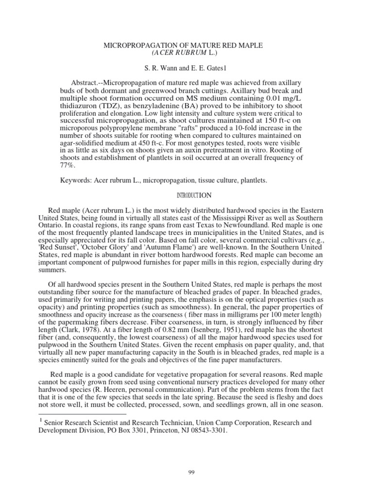 Micropropagation Techniques for Red Maple | PDF | Root | Maple