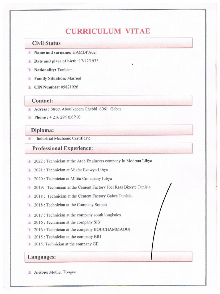 Cv Adel Hamdi | PDF