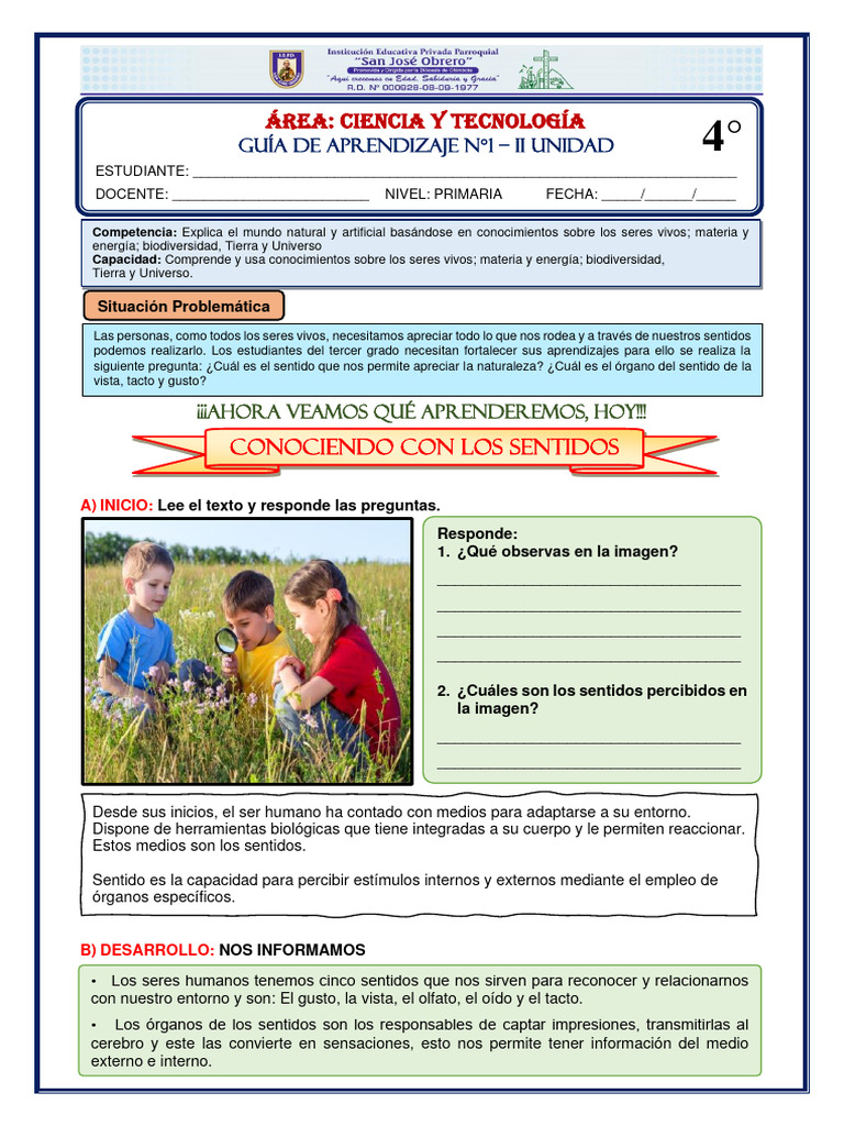 Guía N°4 - Ciencia y Tecnología | PDF | Ojo | Percepción visual