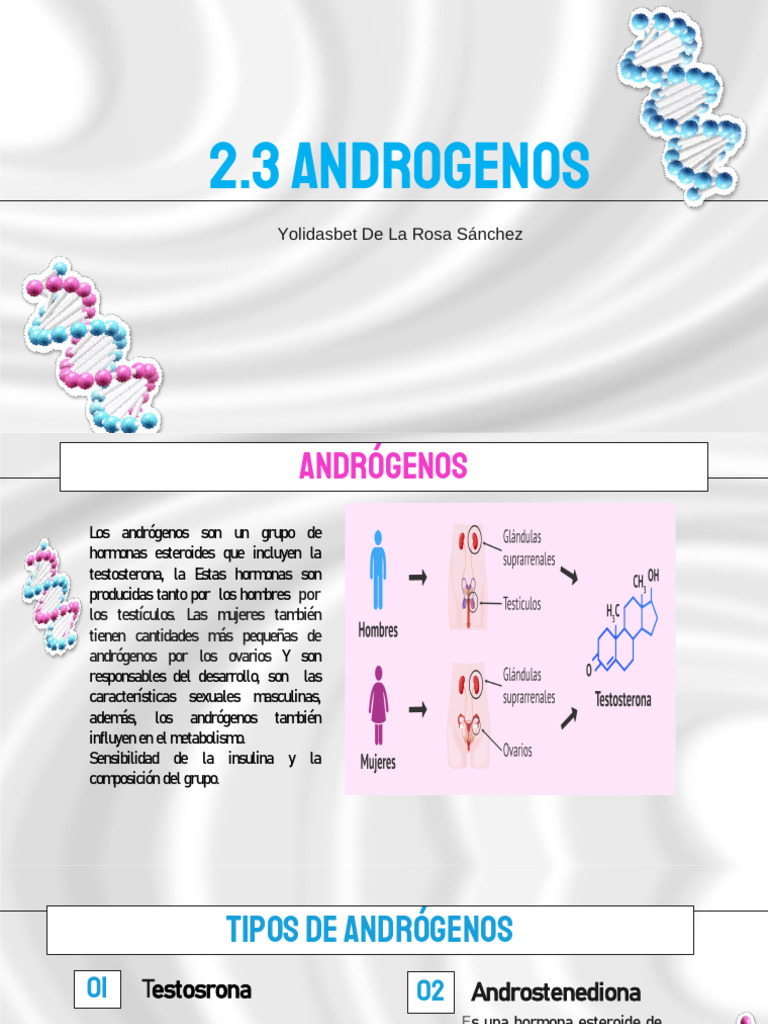Hormonas Andrógenas: Funciones y Efectos | PDF | Andrógino | Testosterona