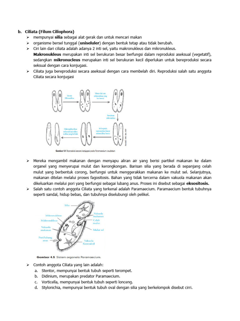 Ciliata: Struktur, Reproduksi, dan Contoh | PDF