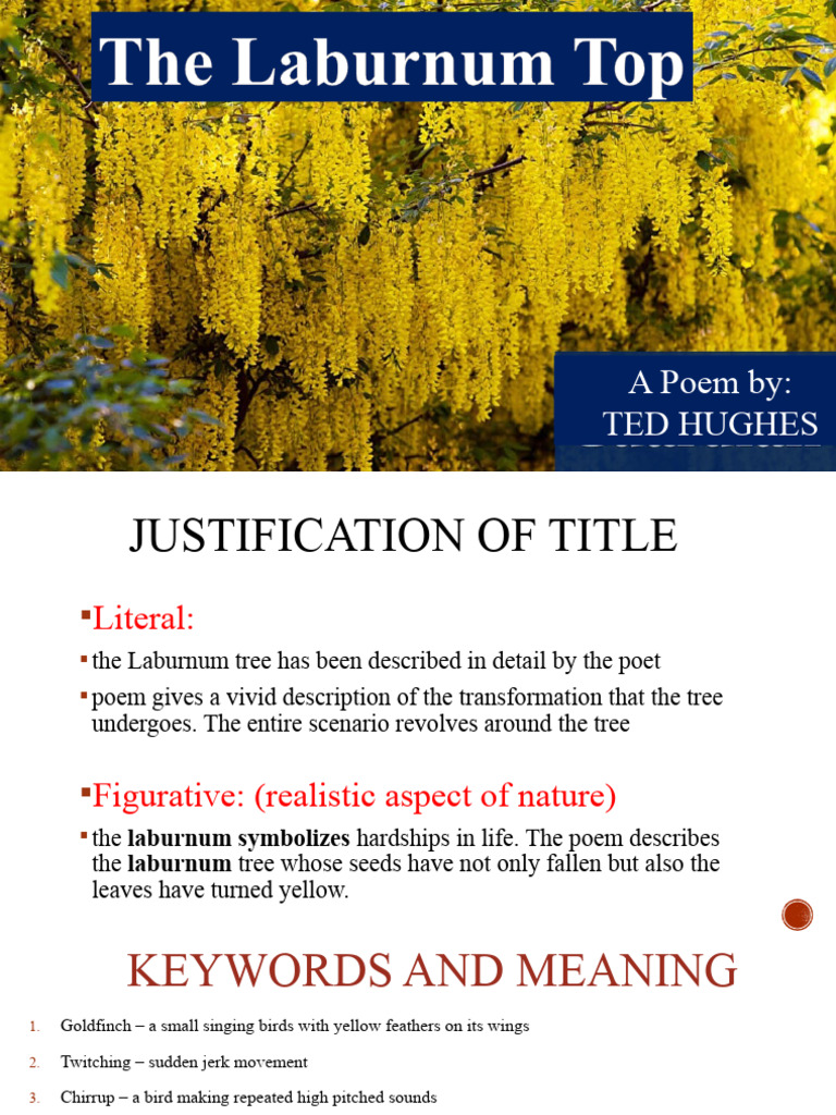 Laburnum Top | PDF