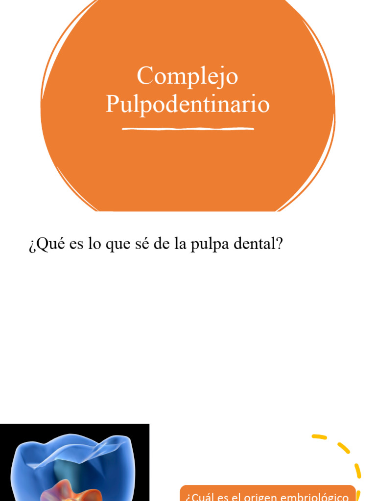 Complejo Pulpodentinario: Estructura y Función | PDF | Anatomía | Biología