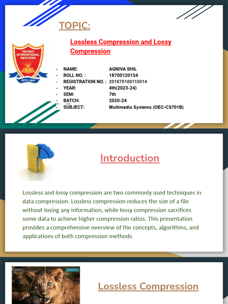 Agniva - Shil - 18700120154 - Multimedia Systems | PDF | Data Compression | Film And Video ...