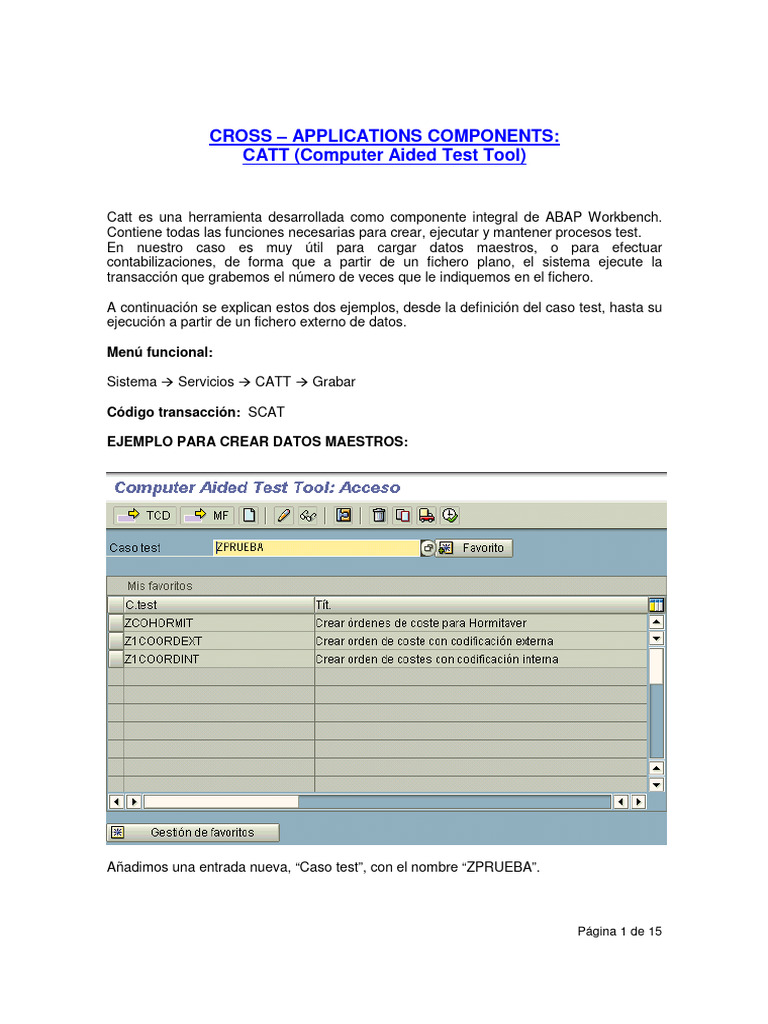 Catt | PDF | Archivo de computadora | Haga doble clic