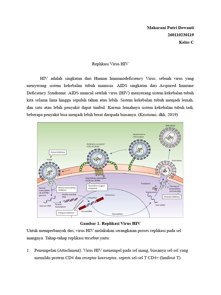 Replikasi Virus Hiv | PDF | Sains & Matematika