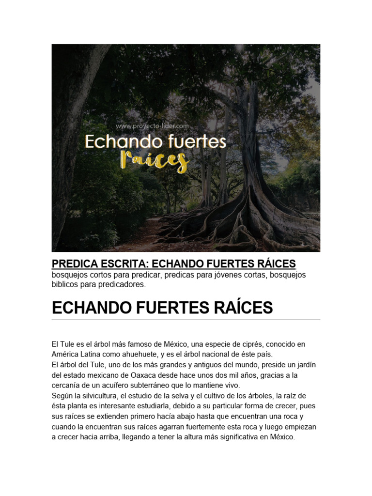 PREDICA ESCRITA HECHANDO FUERTES RAICES | PDF | Cristo (título) | Arboles