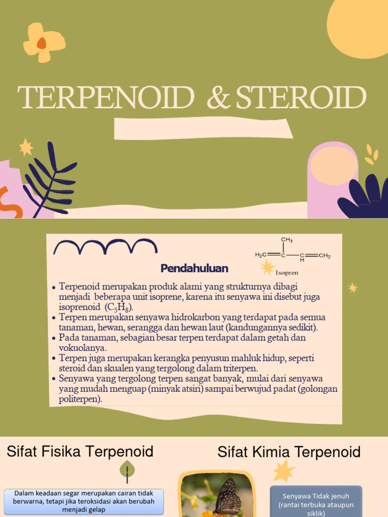 Terpenoid Dan Steroid | PDF
