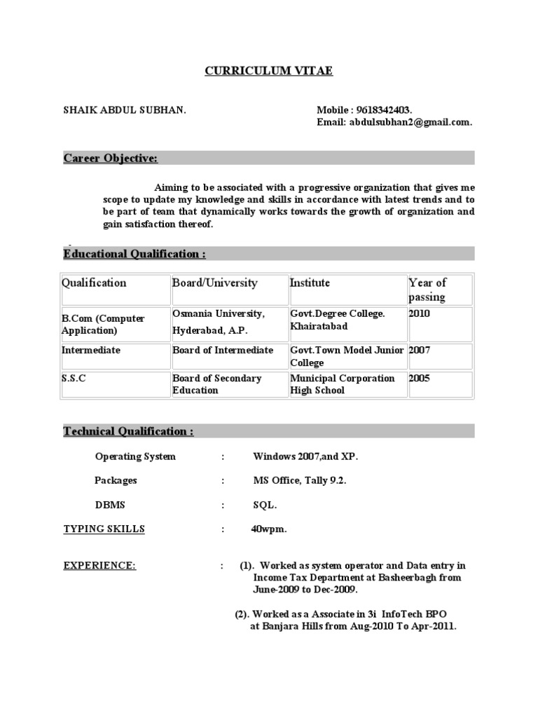 Entry-Level Job Seeker CV | PDF | Computers
