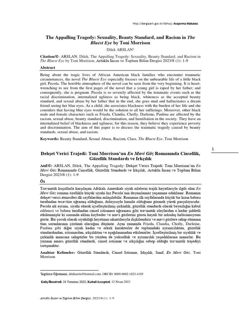 Womanism, Black Feminism, and Beyond | PDF | Rape | Racism