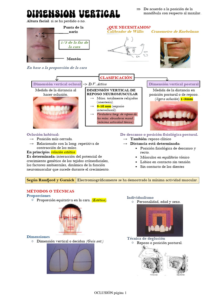 Dimension Vertical | PDF | Ciencia y matemáticas