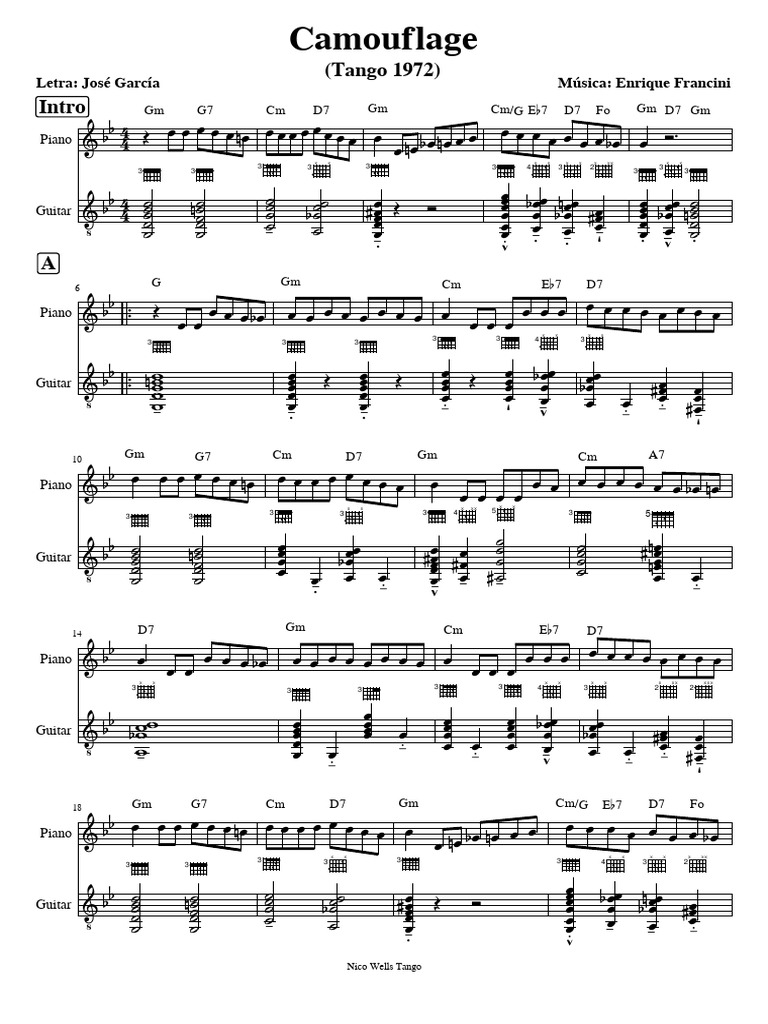 Camouflage (SolM) Pola 06 - 05 - 23 | PDF