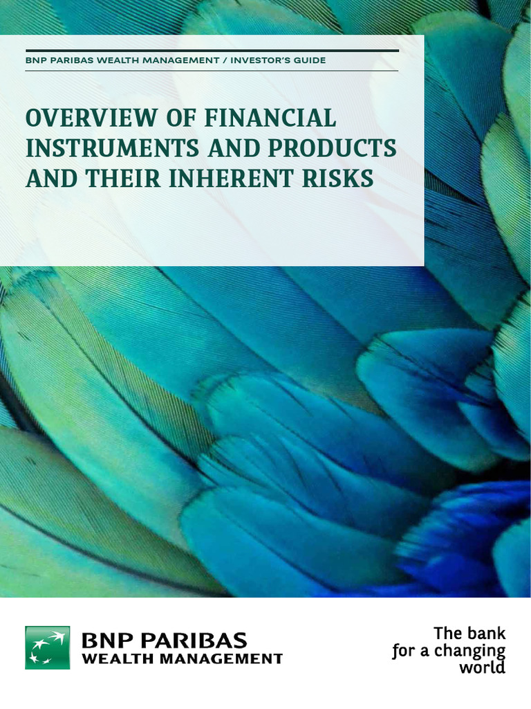 INVESTOR GUIDE | PDF | Financial Risk | Investing