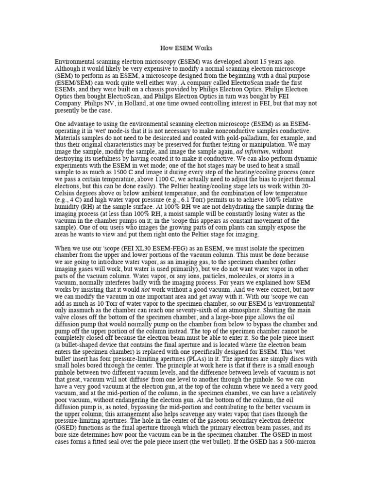 How It Works | PDF | Scanning Electron Microscope | Optics