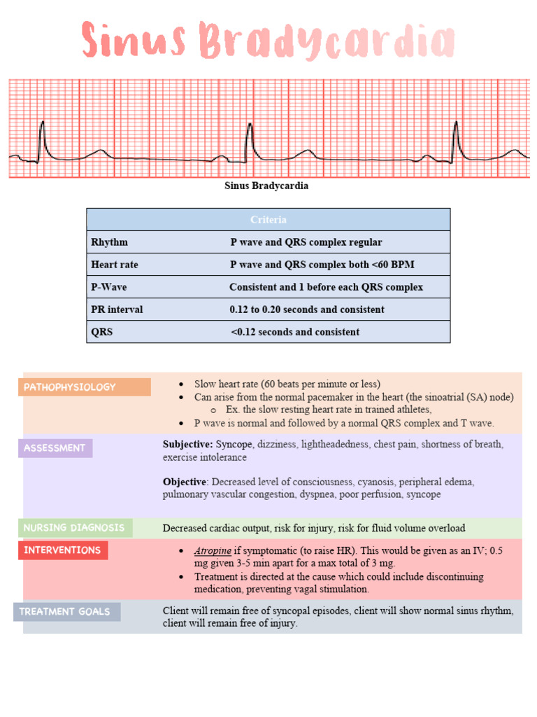 EKG Study Guide | PDF | Heart Rate | Heart