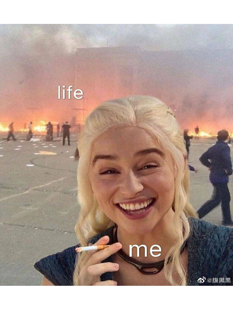 Meme Life | PDF