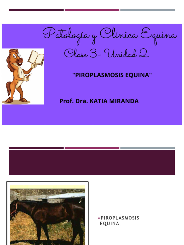 Piroplasmosis Equina: Causas y Tratamiento | PDF | Infección ...
