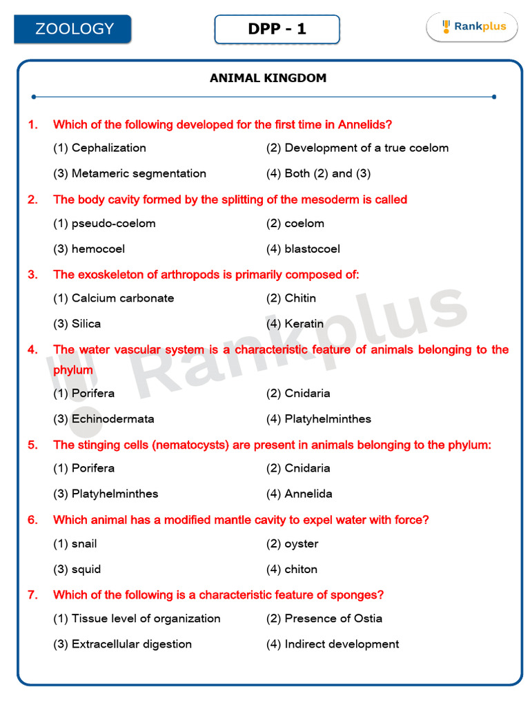 Annelids and Mollusks: Key Features | PDF | Sponge | Biology