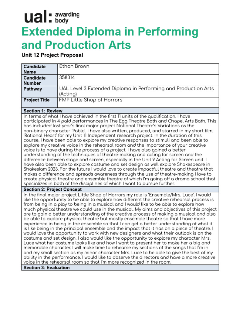 FMP Project Proposal Form Lsoh 4 | PDF | Performing Arts