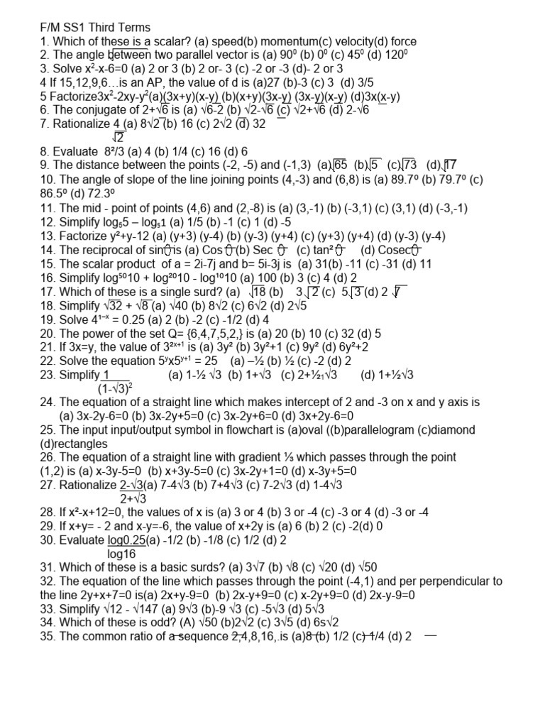 Ss 1 | PDF | Euclidean Vector | Geometry