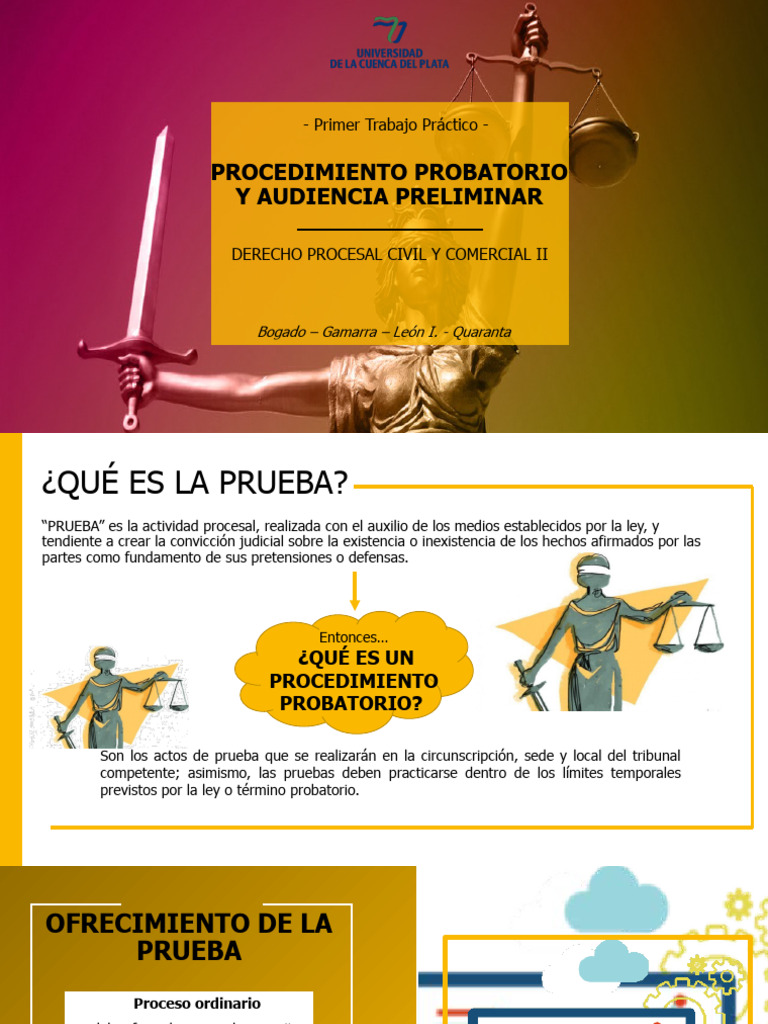 Procedimiento Probatorio y Audiencia Preliminar - Procesal Ii | PDF | Ley procesal | Justicia