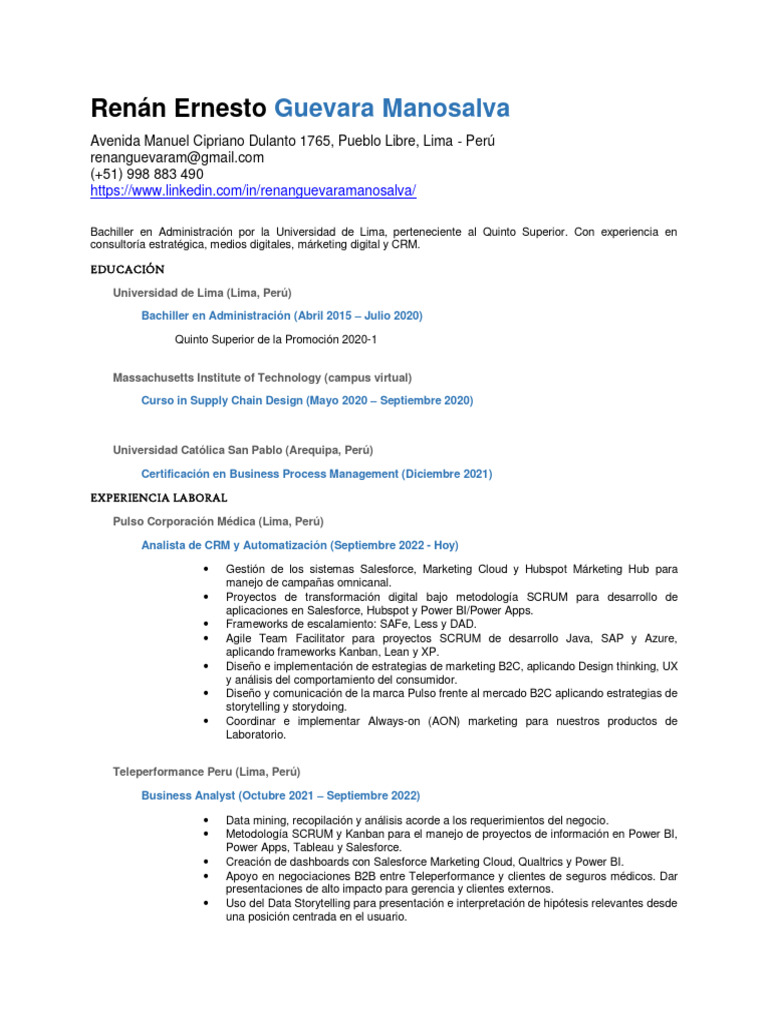 Perfil Profesional de Renán Guevara | PDF | Marketing | Business
