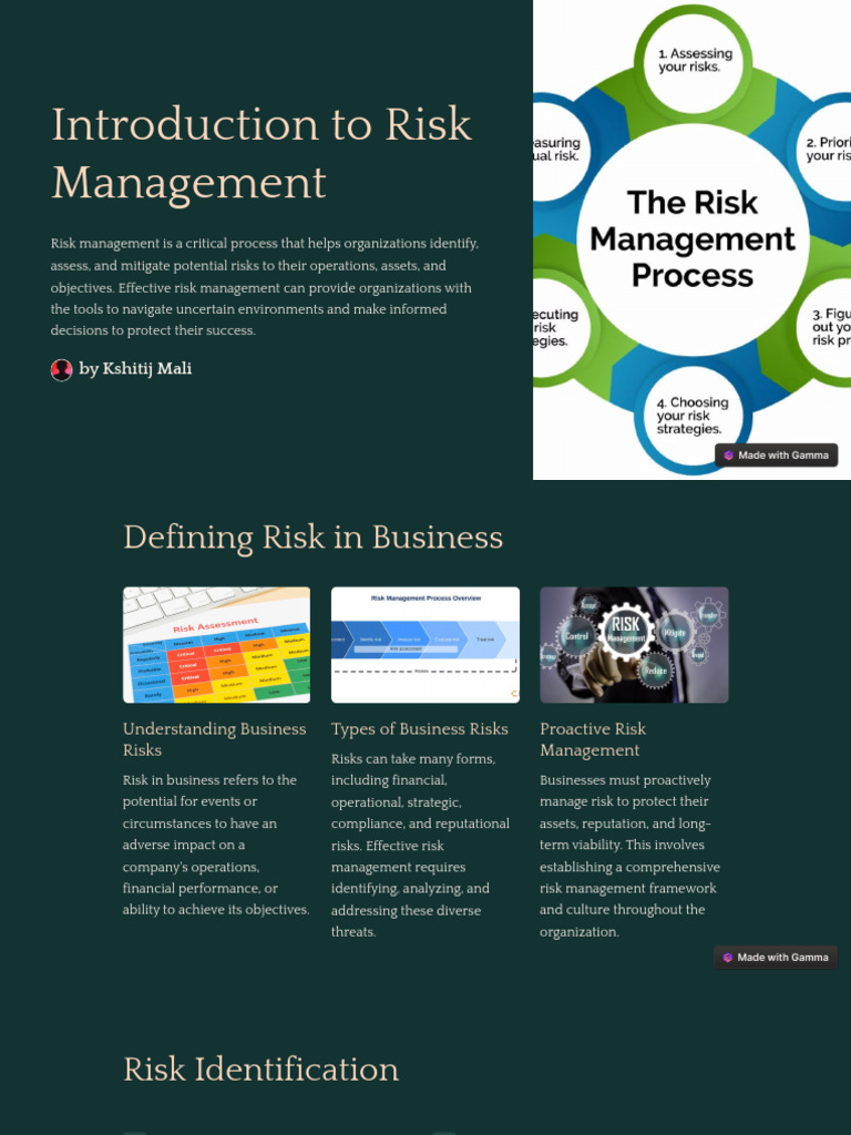 Introduction To Risk Management | PDF | Risk | Risk Management
