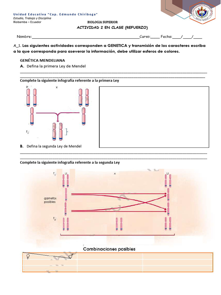 Actividad 2 Herencia Genetica | PDF