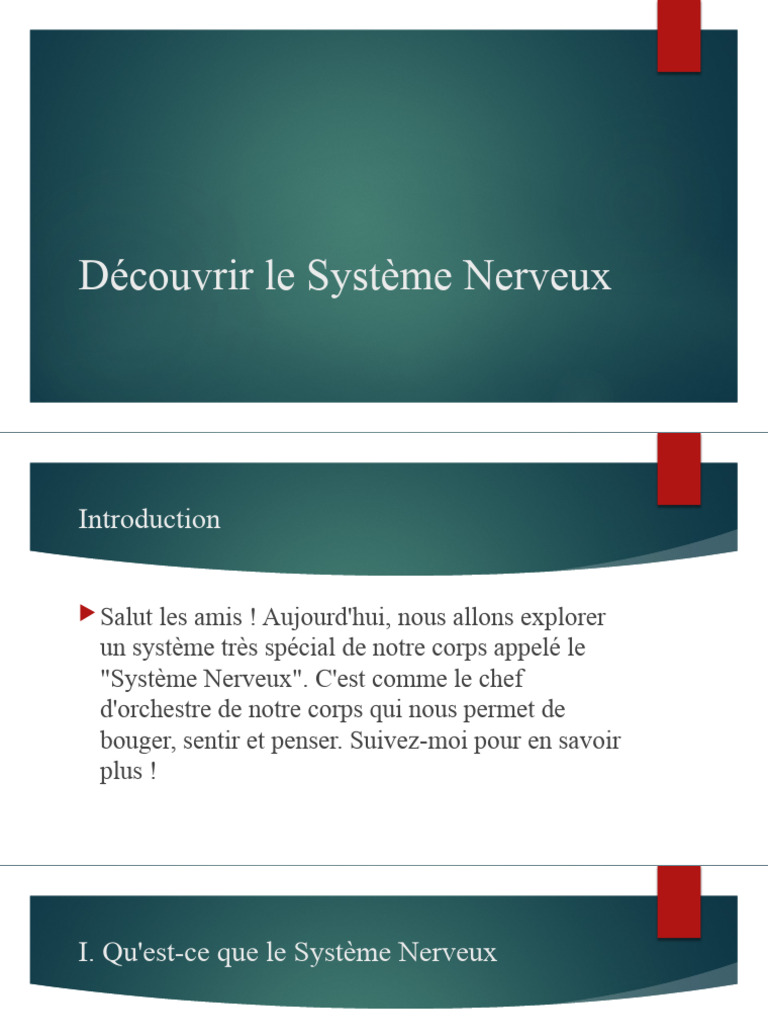 Découvrir Le Système Nerveux | PDF